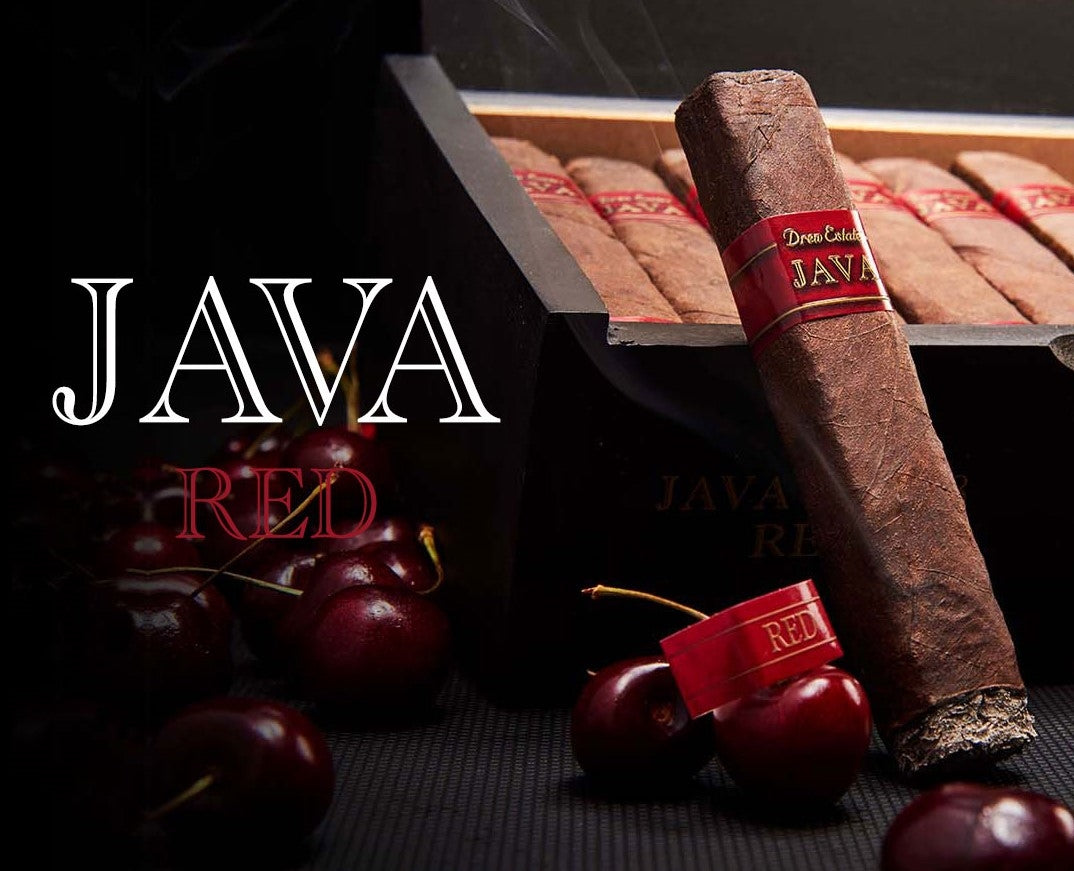 ROCKY P. JAVA RED ROBUSTO 5 1/2X50 24CT – Nooney Retail